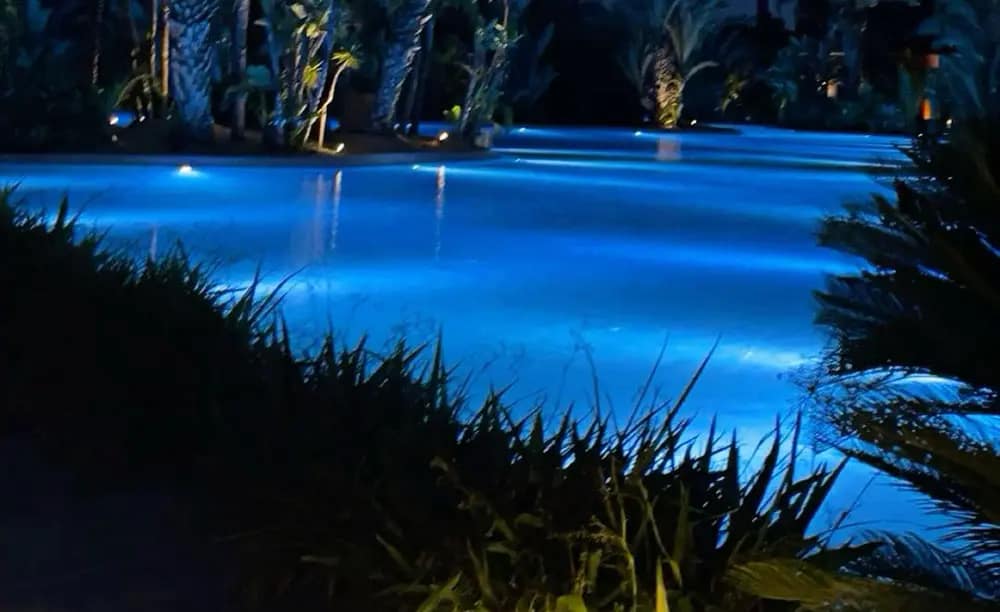 Warranties and Pool Lights