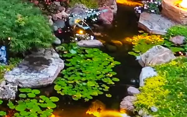 12 Practical Tips for Enhancing Water Feature Lighting